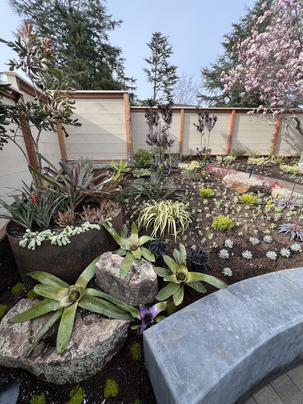 IMG 2193 — Postimages