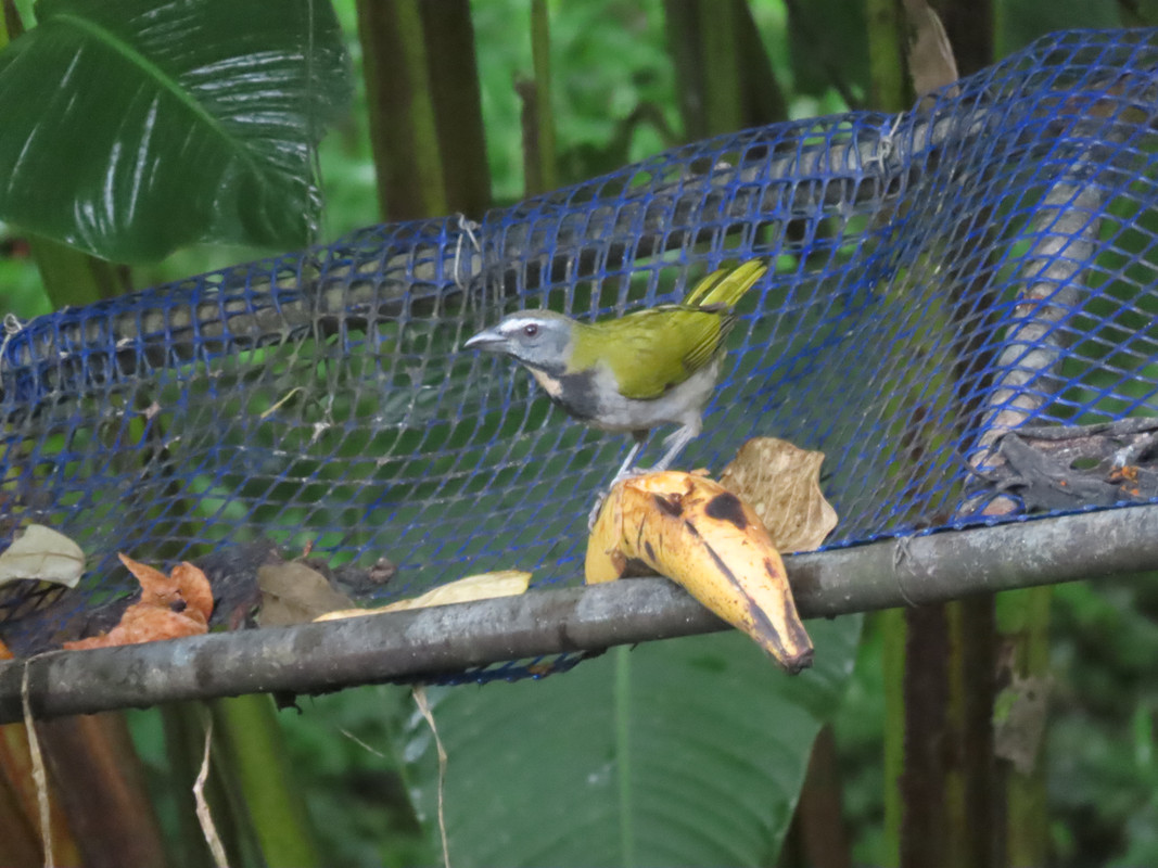 IMG 6190 — Postimages