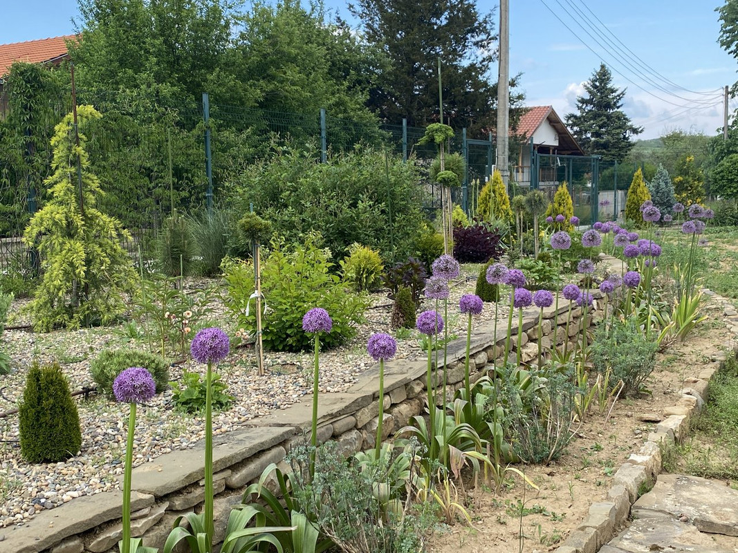 D62 EA10 F 2659 4 E03 B5 A6 E65 EFF5 AEE3 C — Postimages