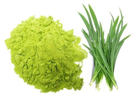 BENEFITS AND USAGE OF NATURAL PANDAN EXTRACT POWDER - PEROMA - The ...