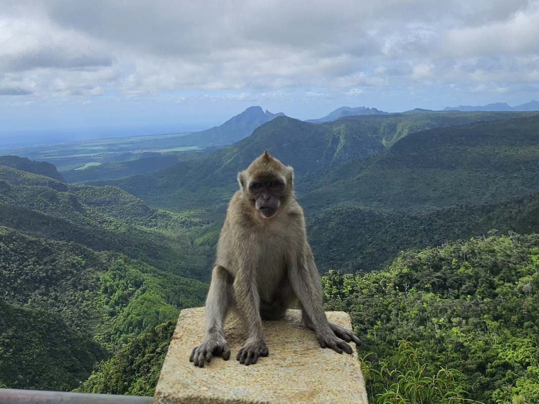 Like heaven on Earth — Postimages