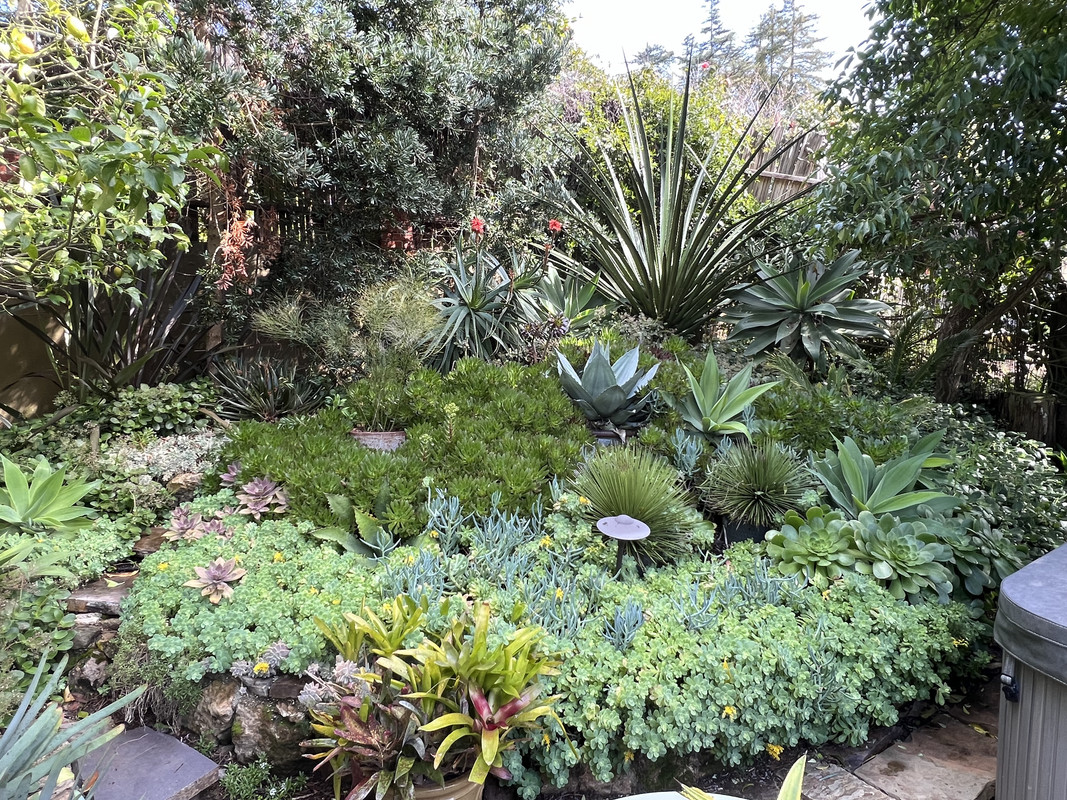 IMG 2023 — Postimages