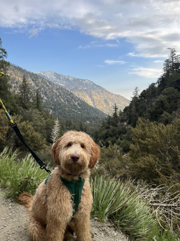 IMG 2497 — Postimages