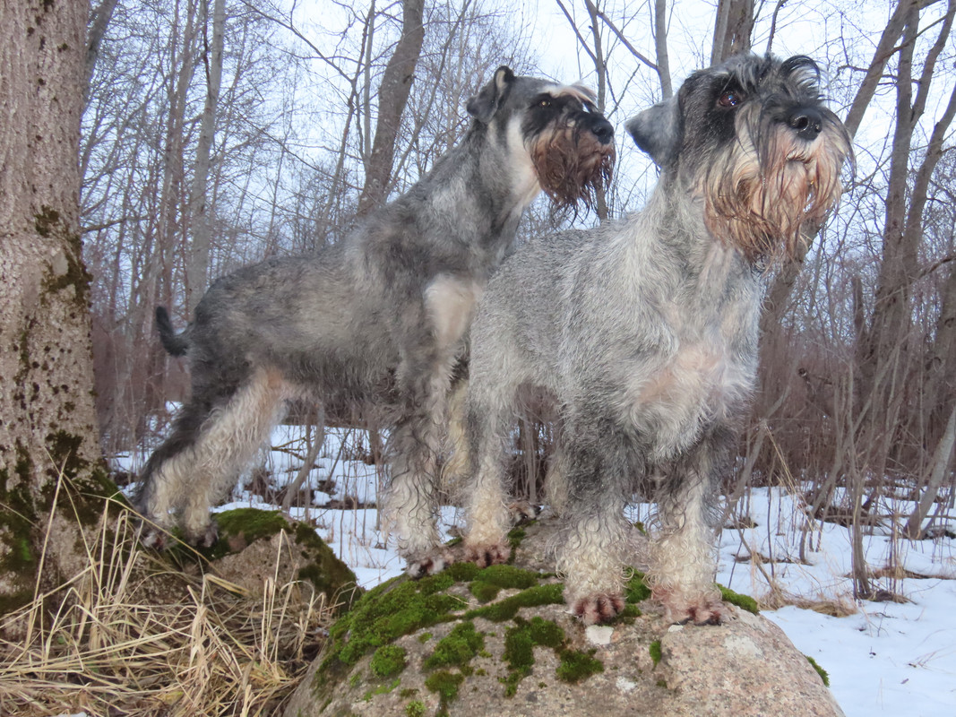 IMG 9016 — Postimages