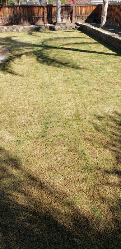 Sod lines | Lawn Care Forum