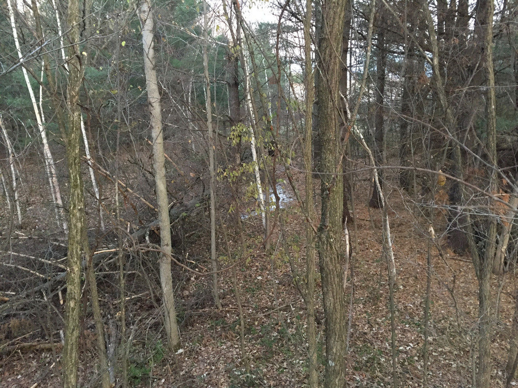 F6 B278 F0 94 B7 4 E0 B 965 C A96260 E6 C571 — Postimages