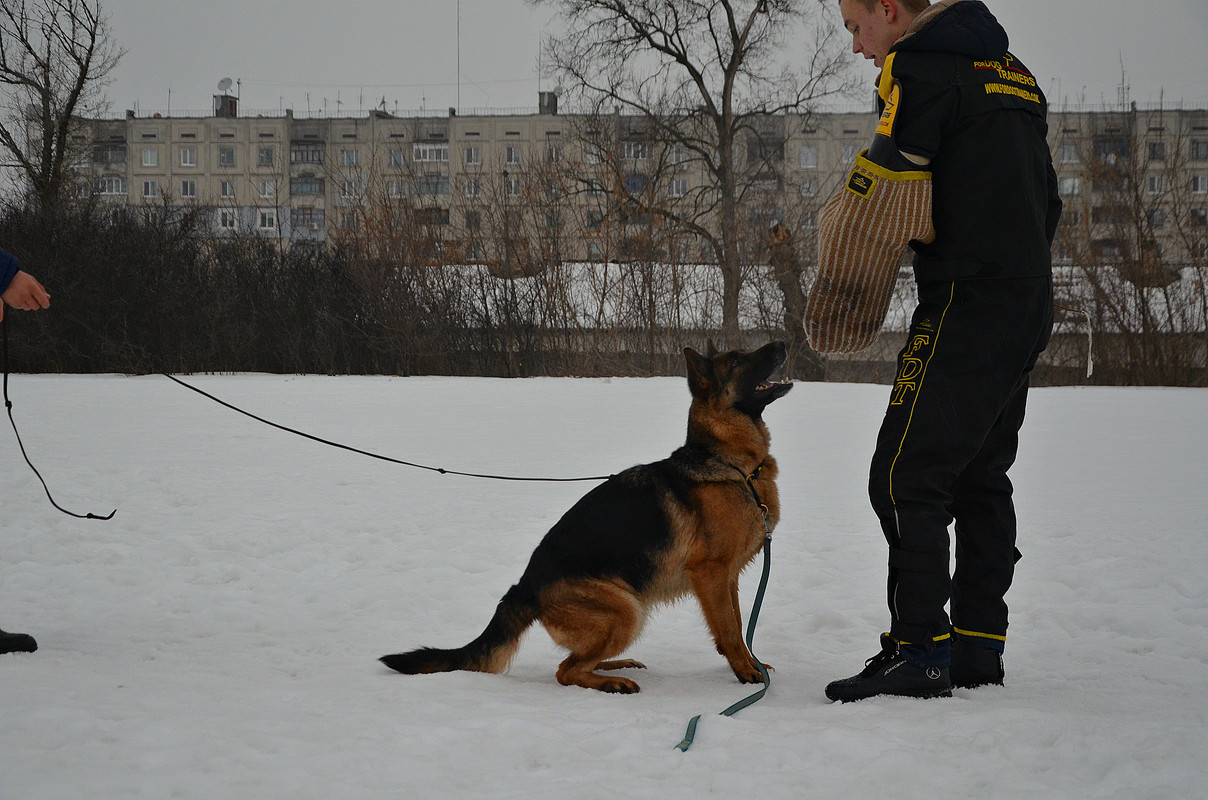 эля 63 — Postimages