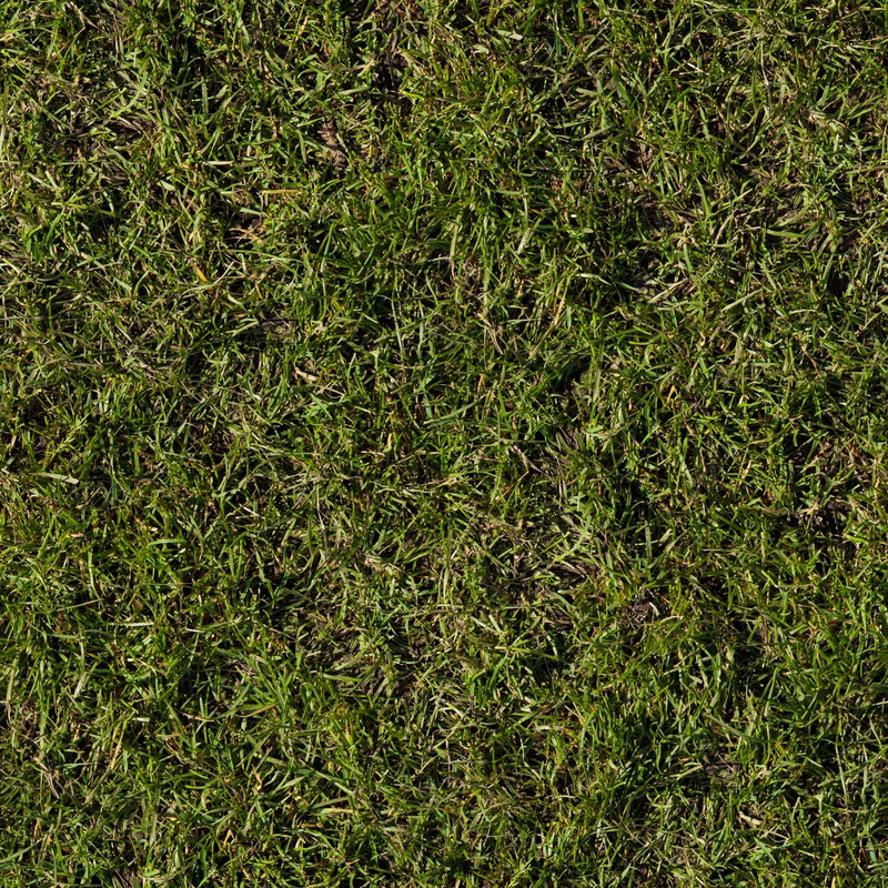 Grass September seamless texture 1 of 1 — Postimages