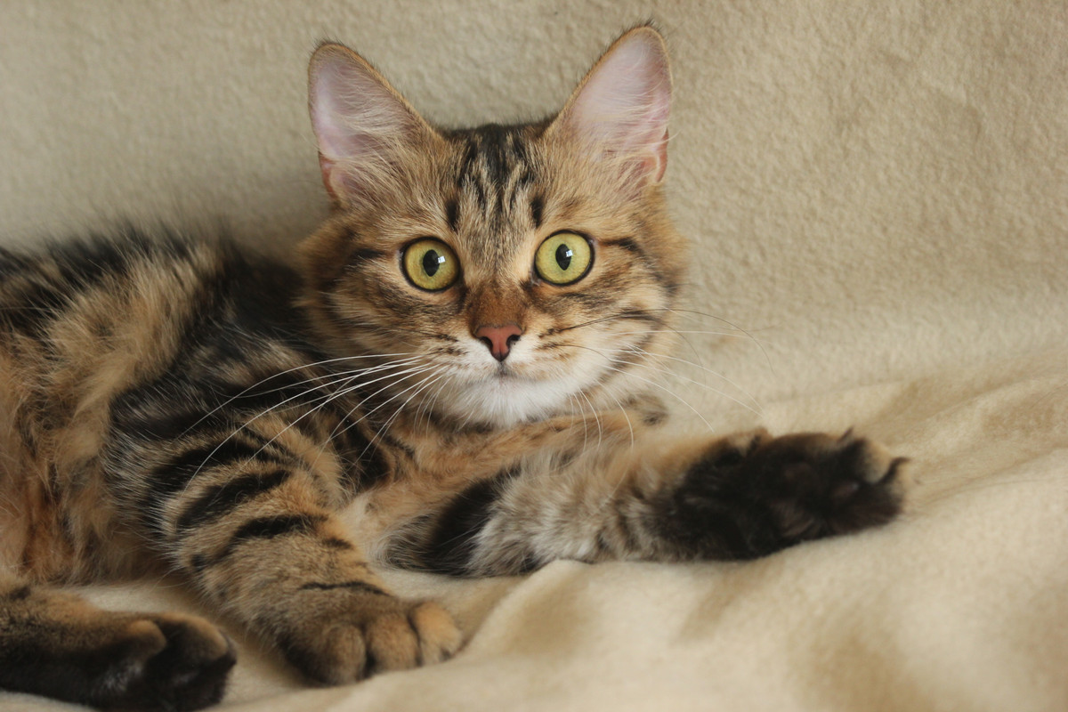 IMG 3308 — Postimages