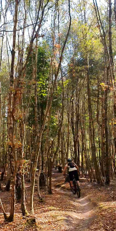 K trail — Postimages