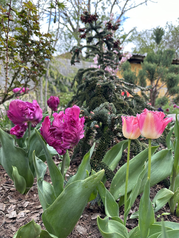 IMG 9172 — Postimages