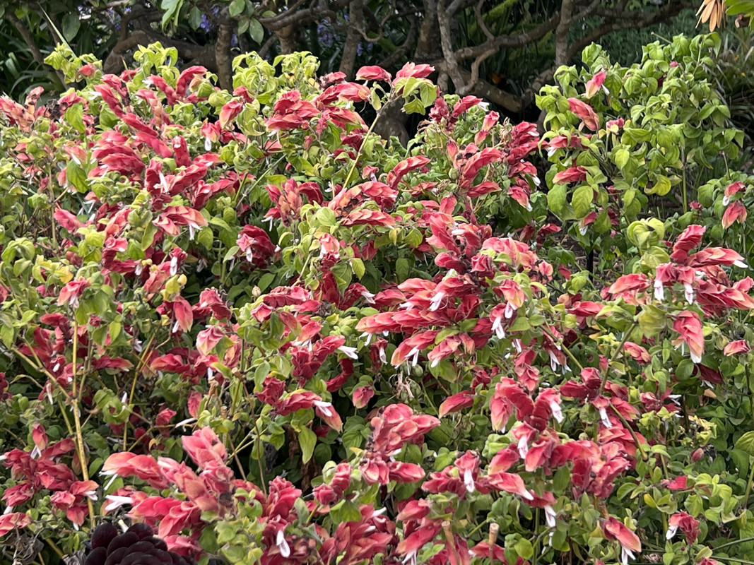 IMG 5710 — Postimages