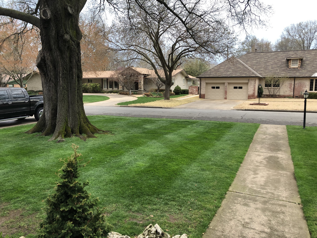 2019 | Cool Season Lawn Photos | Lawn Care Forum