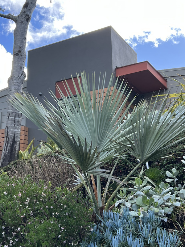 052 B8 E65 E325 4550 9 F86 4870 A1 E096 AC — Postimages