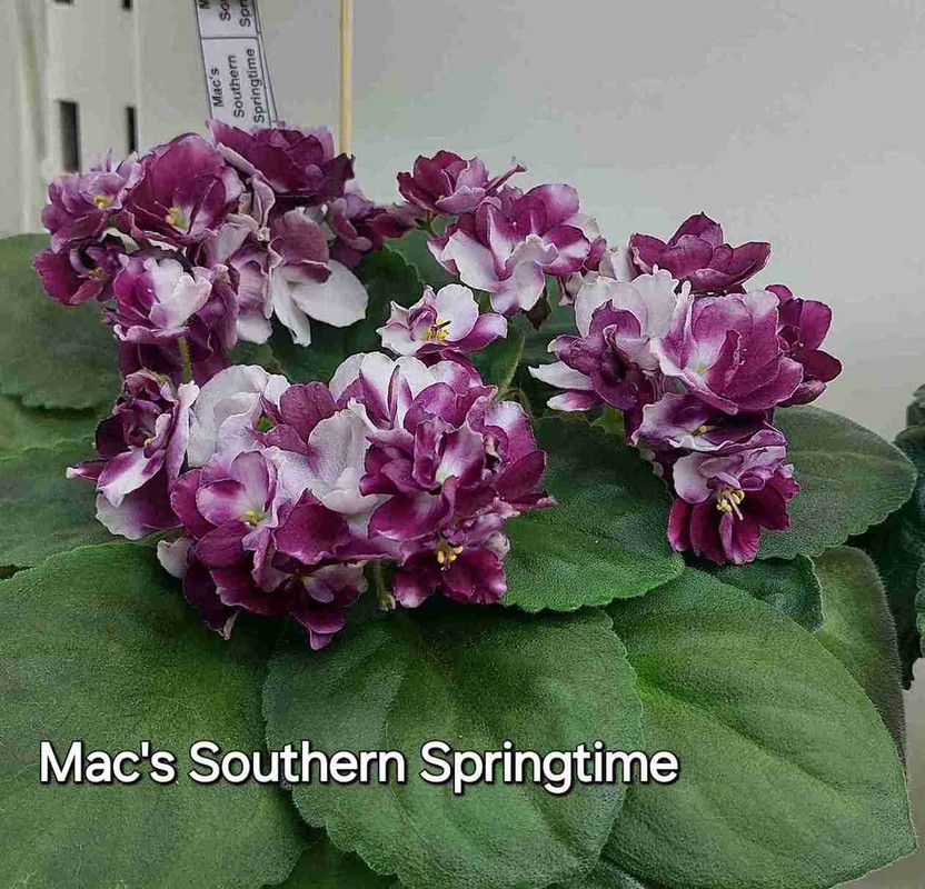 2024 09 22 14 45 37 11 11zon — Postimages