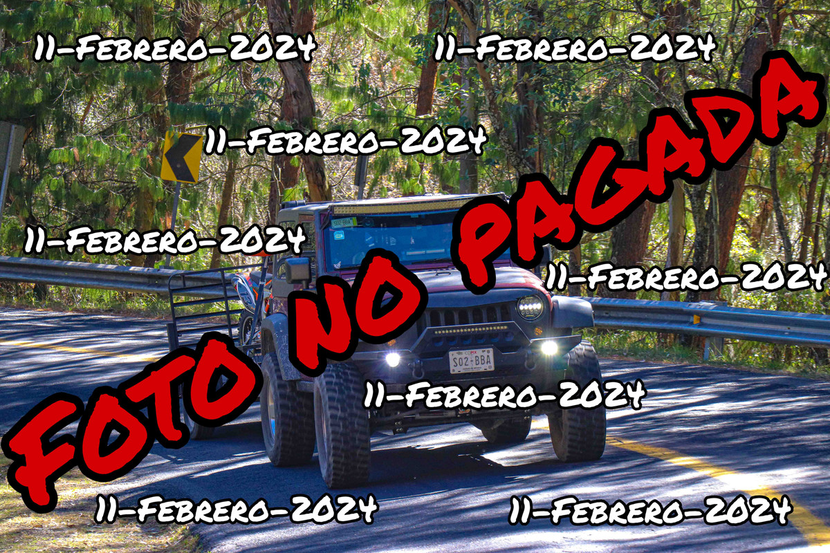 CC 195 — Postimages