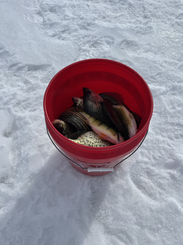 IMG 0403 — Postimages