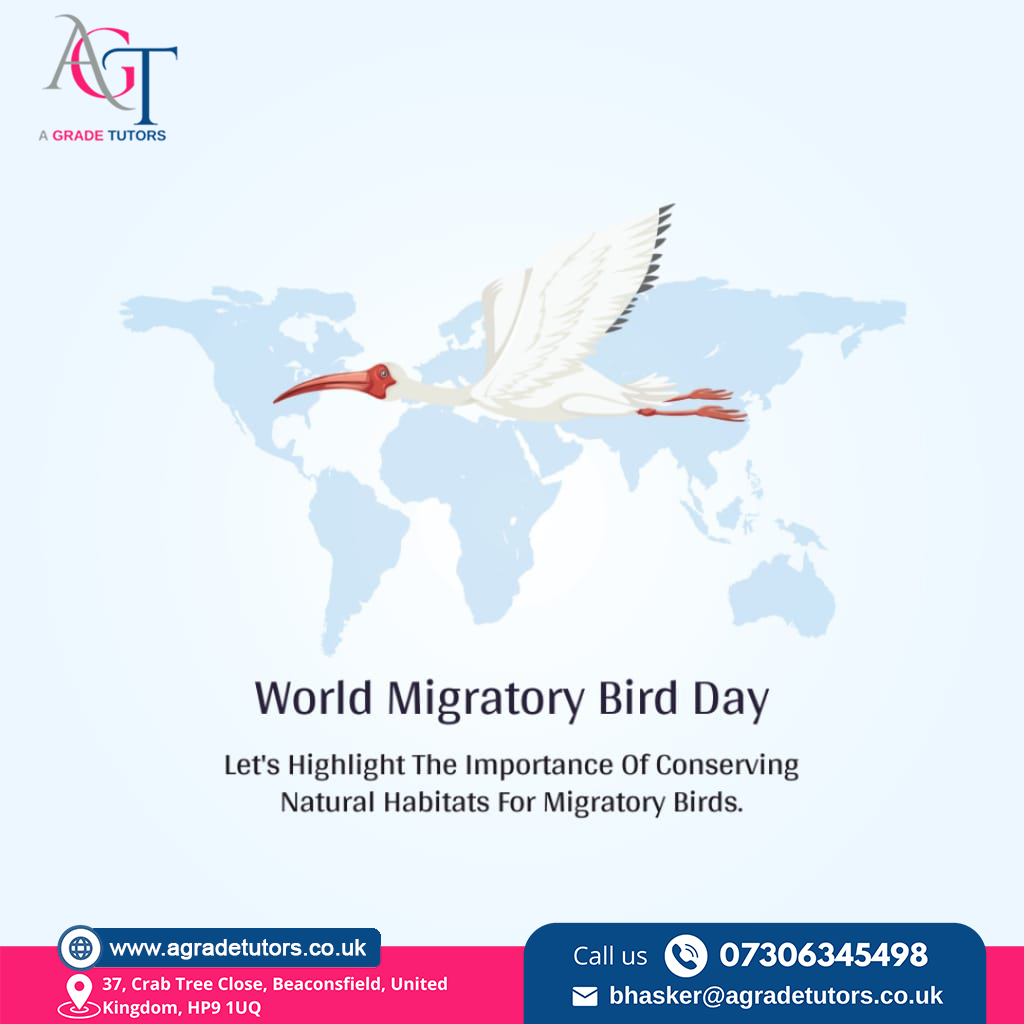 13 may — Postimages