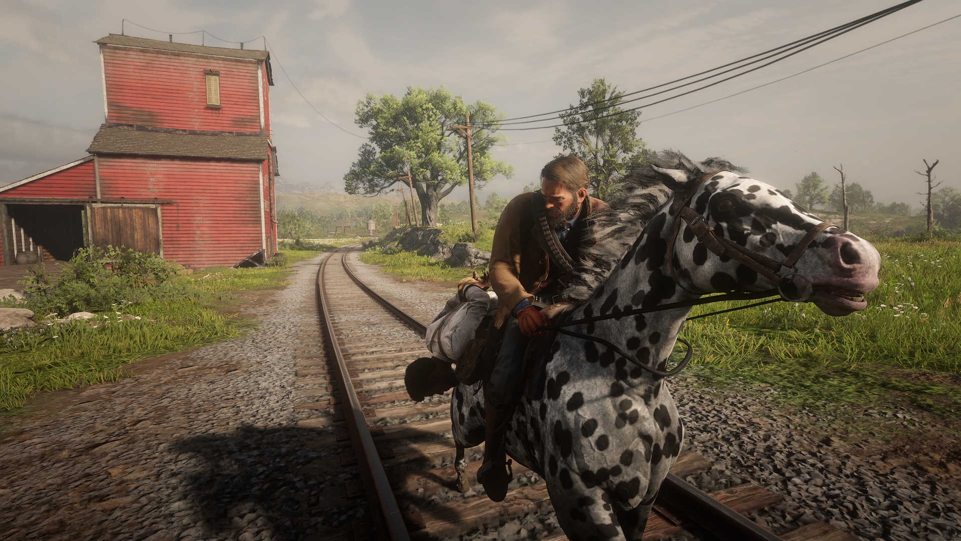 RDR2 2023 01 12 23 24 39 789 — Postimages