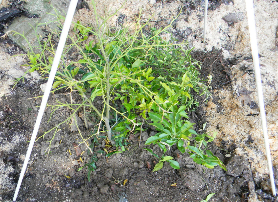 after winter — Postimages