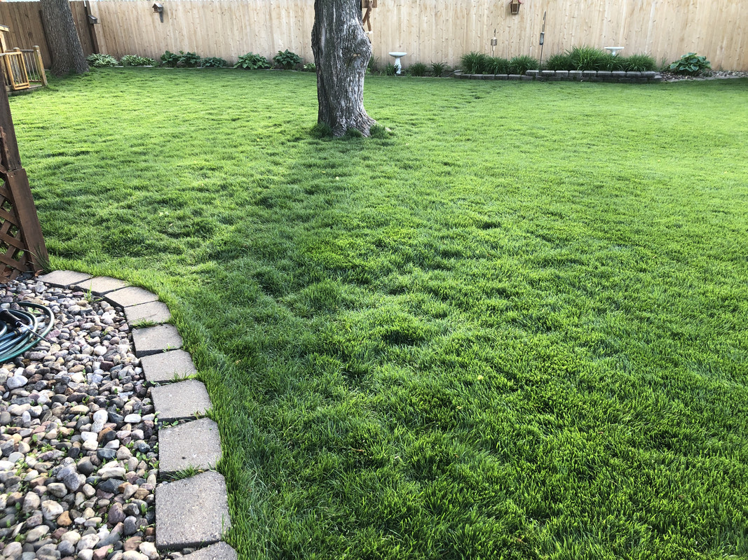 IMG 9012 — Postimages