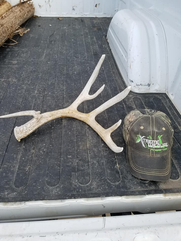 56536253 10213215254279136 112692313985122304 n — Postimages