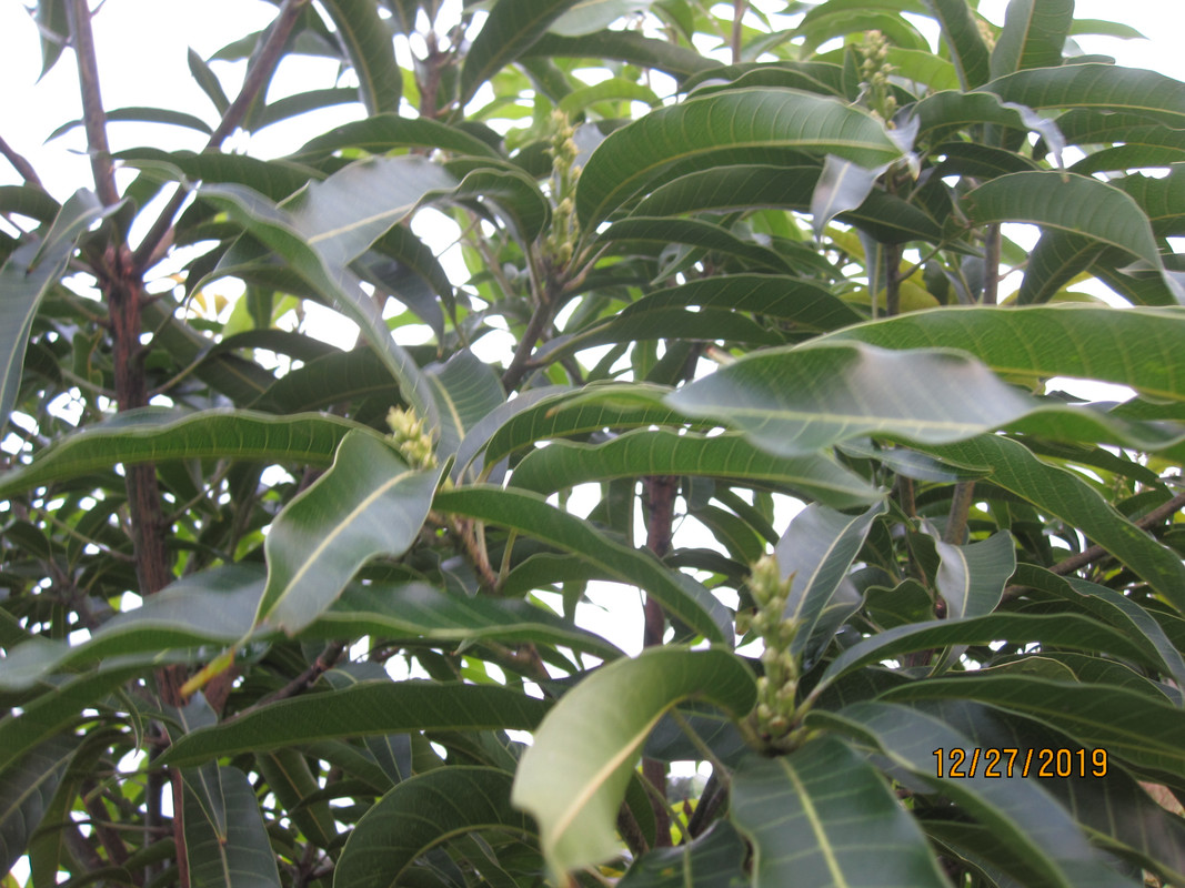 IMG 3166 — Postimages