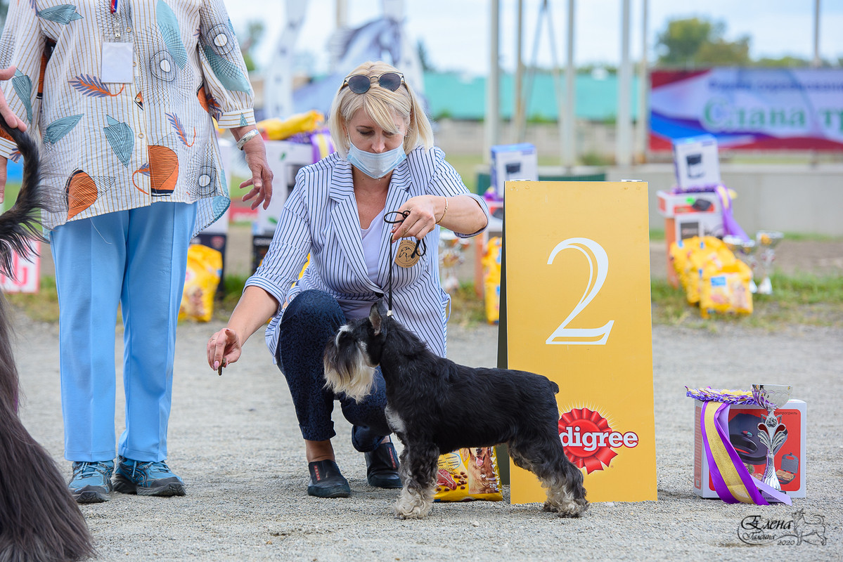 AFT 6364 — Postimages