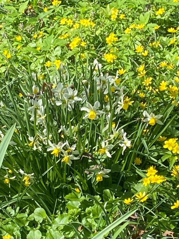 IMG 20240424 WA0025 — Postimages