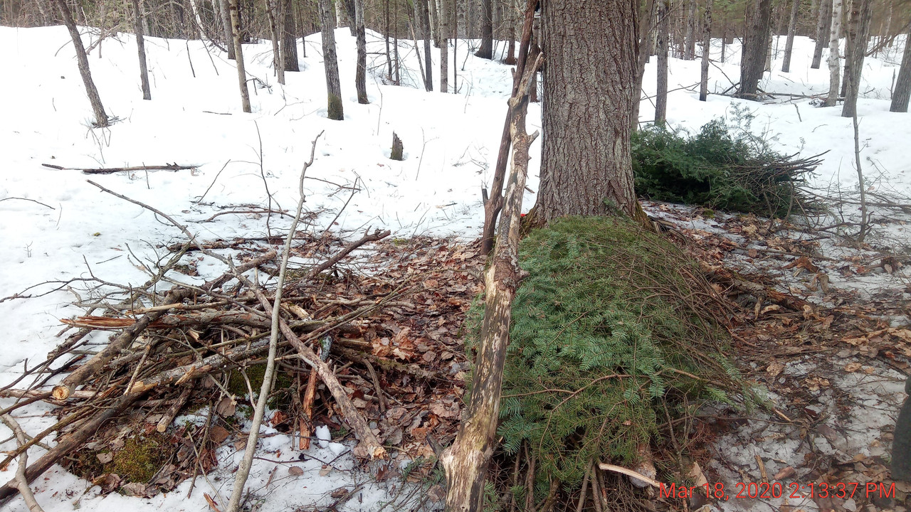 IMG 20200318 141337 — Postimages