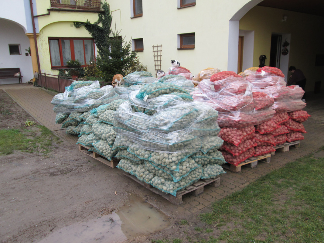 IMG 0023 — Postimages