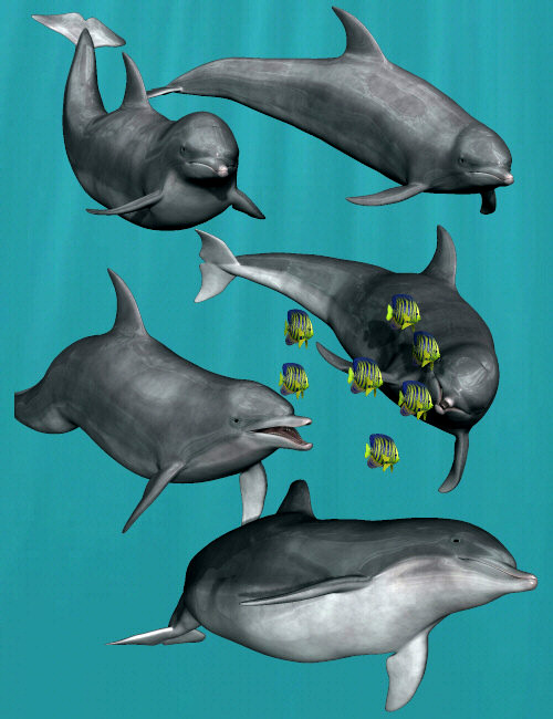 Dolphin Poses 2025 - Free Daz 3D Models