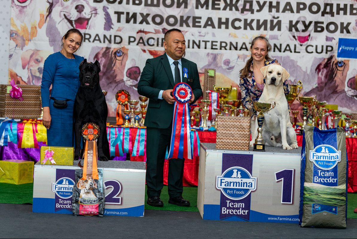 30 1497 — Postimages