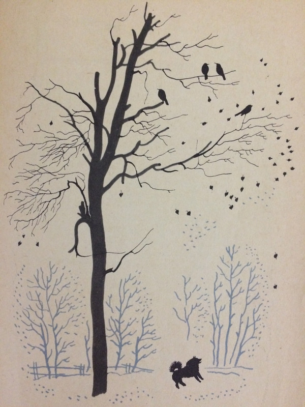 IMG 2682 — Postimages