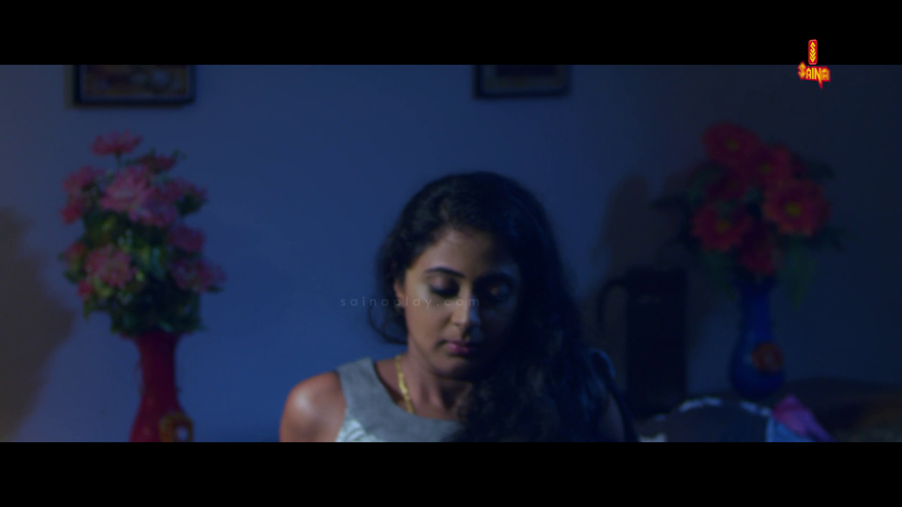 vlcsnap 2023 01 21 16h01m16s435 — Postimages