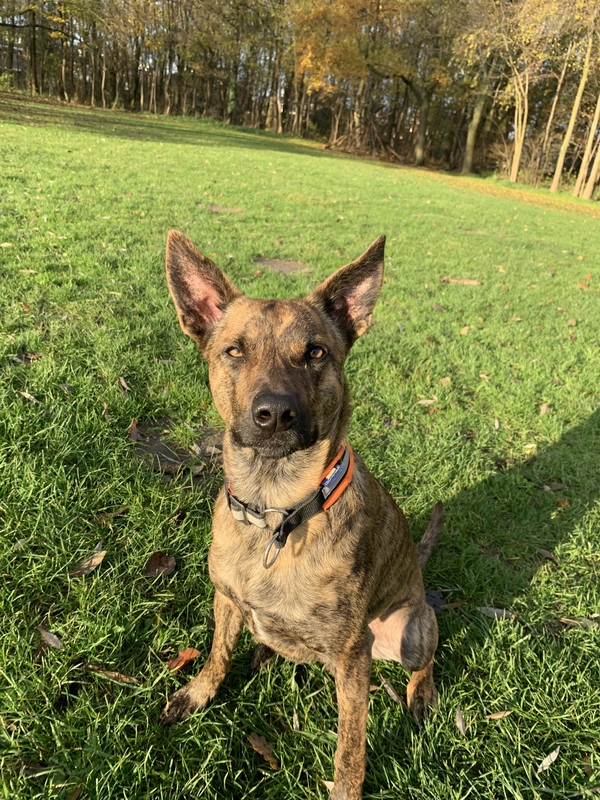 D0 B0 F64 D AEFC 42 D4 8 CEE CBFDBEBB79 BD — Postimages