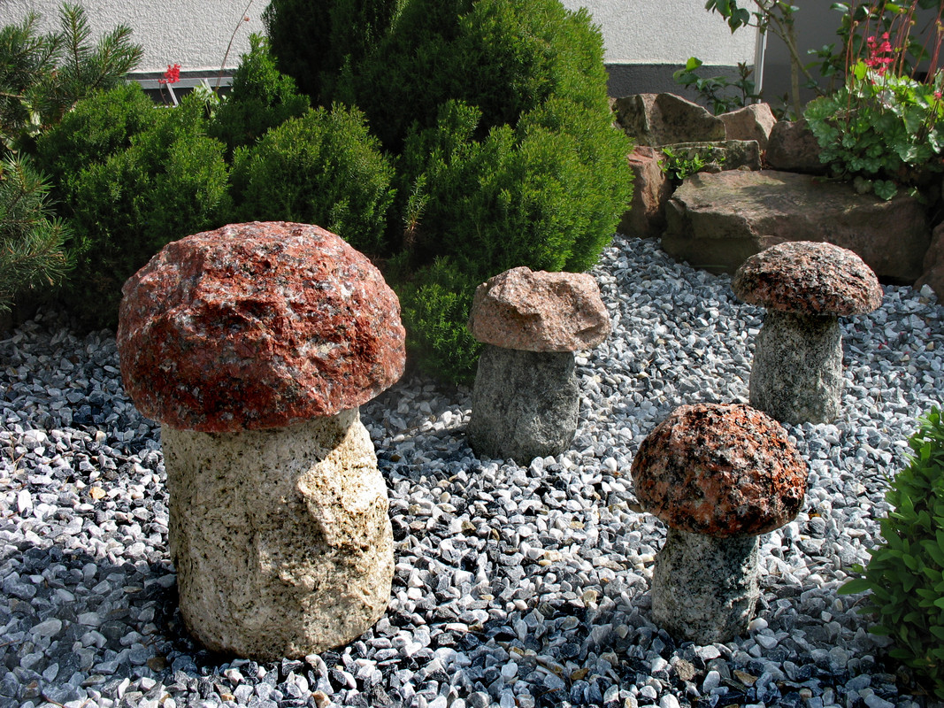 IMG 1100 — Postimages