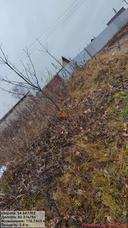 IMG 6463 — Postimages