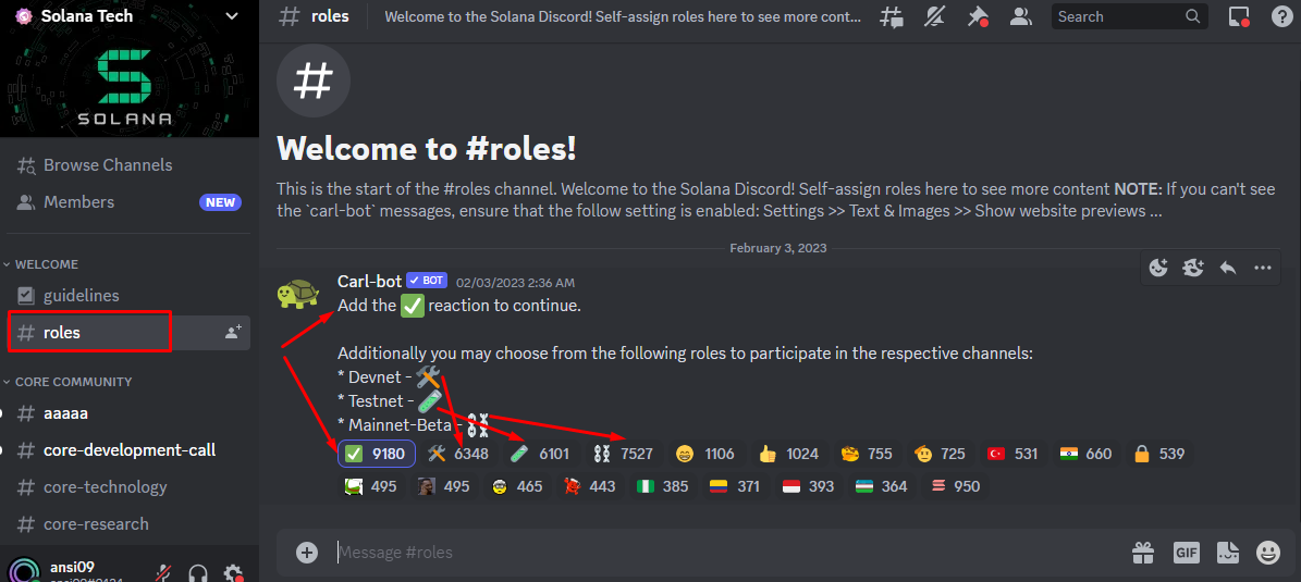I can’t get post roles in Solana discord! Are there channels? Please help.. : r/solana