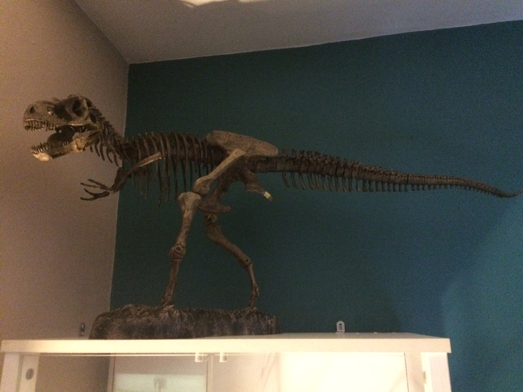 T Rex 3 feet long Skeleton - Figure Work In Progress - Britmodeller.com