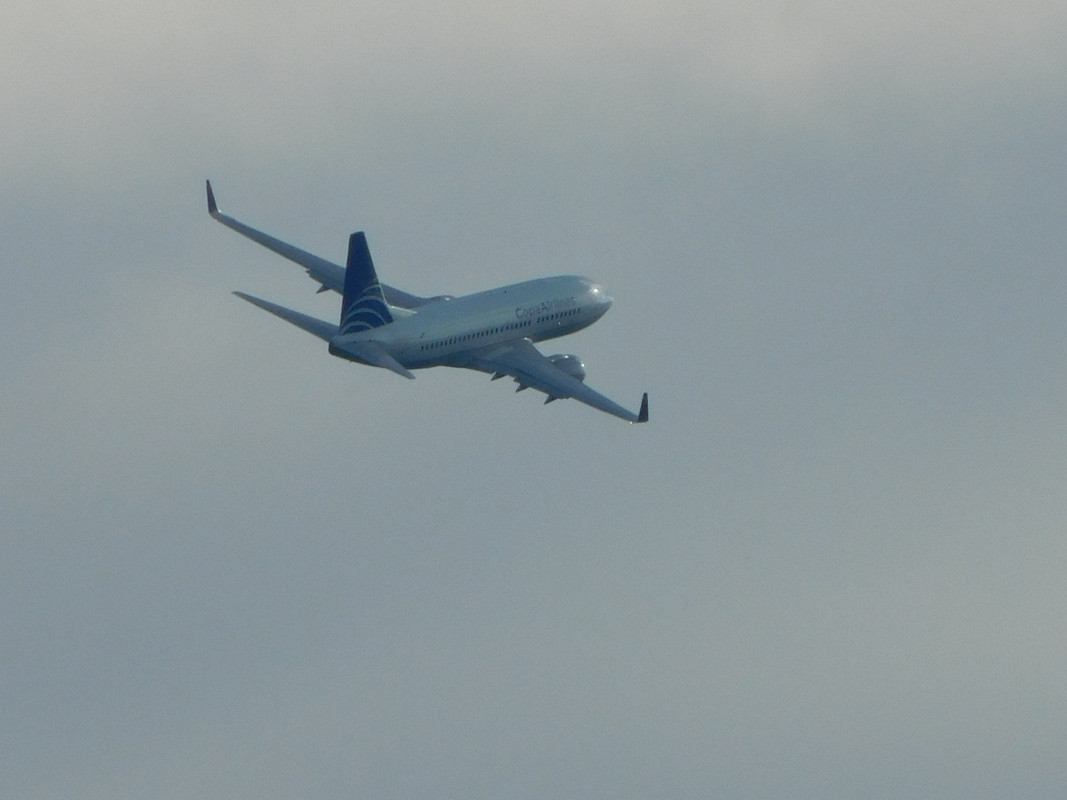 DSCN4161[1] — Postimages