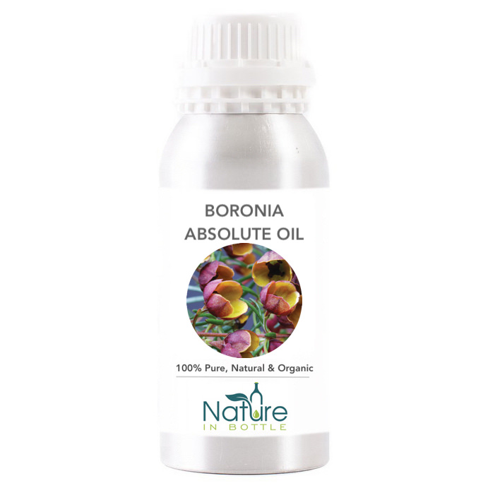 Boronia Absolute Organic - Megastigma Essential Oil