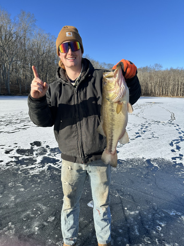 IMG 2649 — Postimages