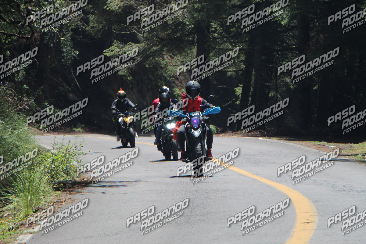 IMG 1561 wm 831832 5 watermarked — Postimages