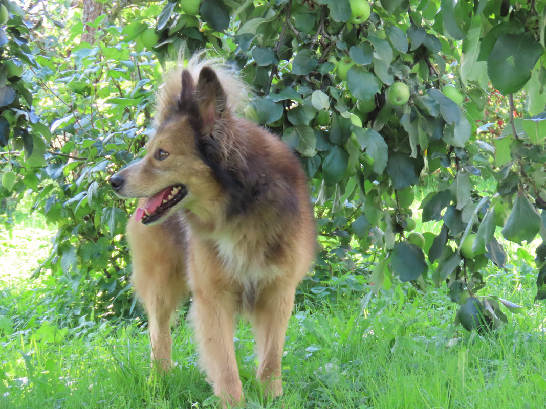 IMG 2109 — Postimages