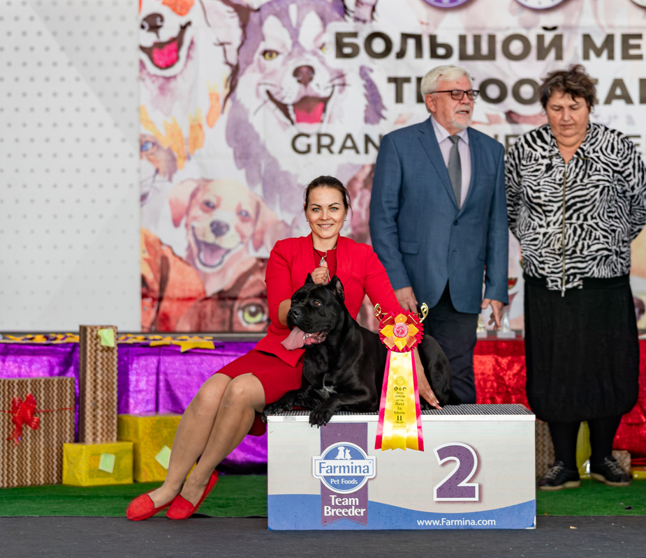 01 321 — Postimages