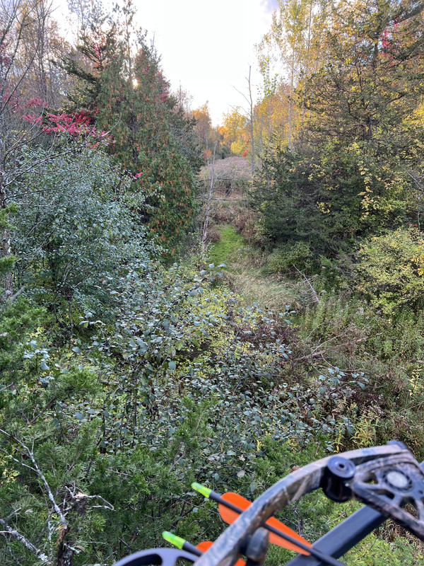 2356764 E CAAF 4996 A3 CA 1071 FB575 B92 — Postimages