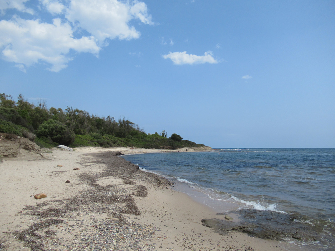 IMG 8381 — Postimages