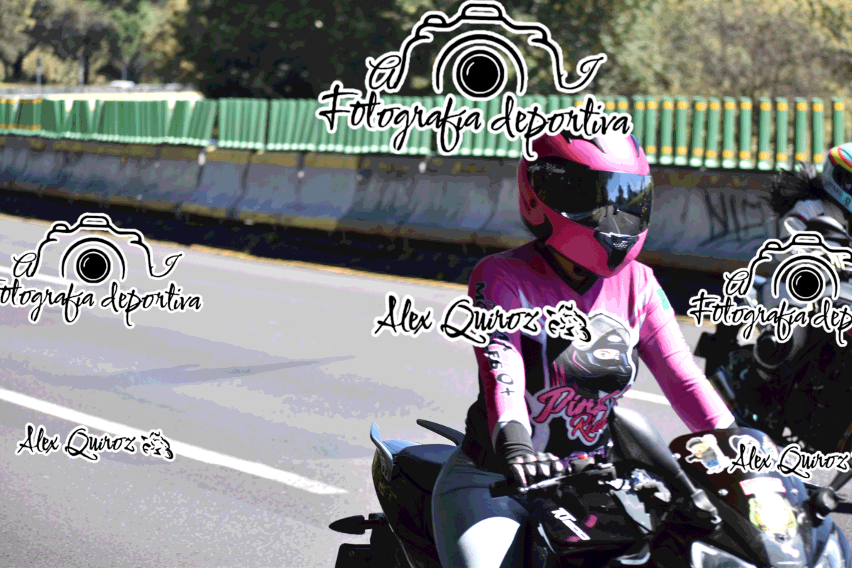 AVQ 9299 — Postimages