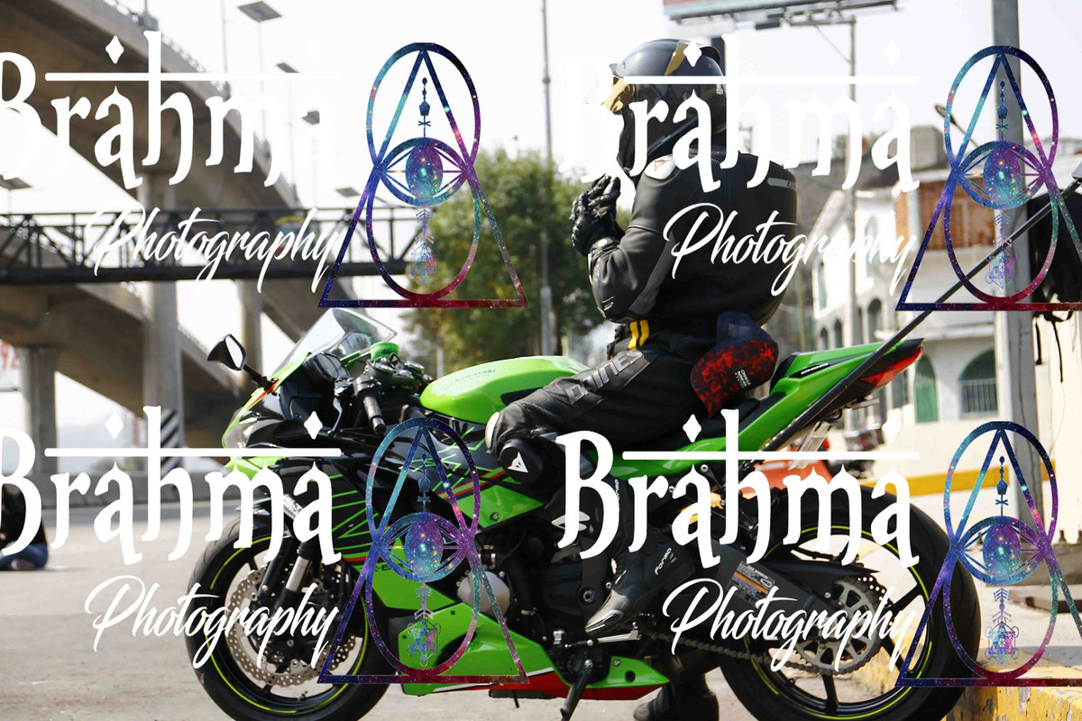 MG 0330 — Postimages